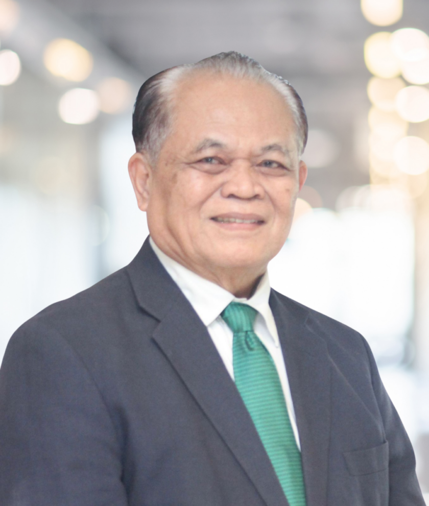 Herman Darnel Ibrahim - IESR